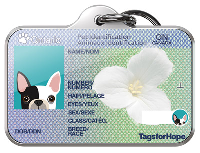 Valley Animal Rescue